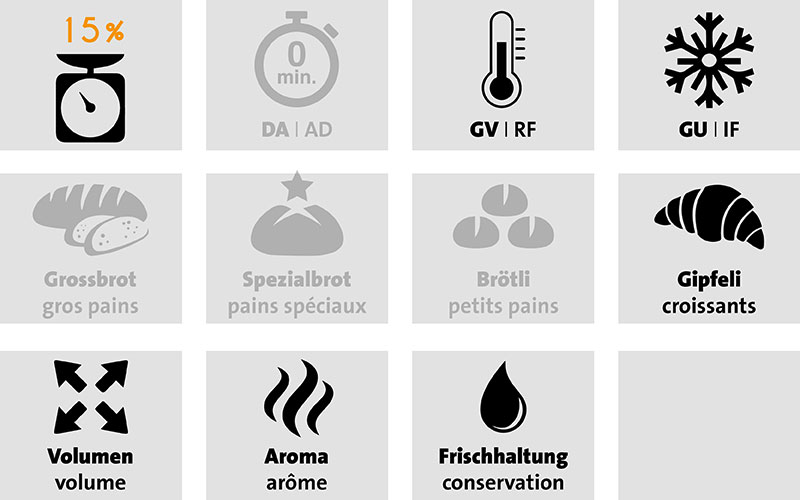 Garvit Intense 15 % - Margo – Baker & Baker Schweiz AG